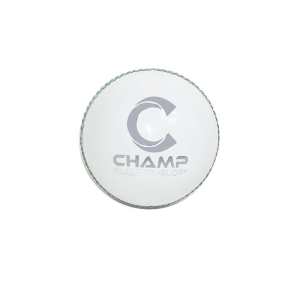 Champ Elite Pro 156g 4 Piece – White | Champ Sports SA