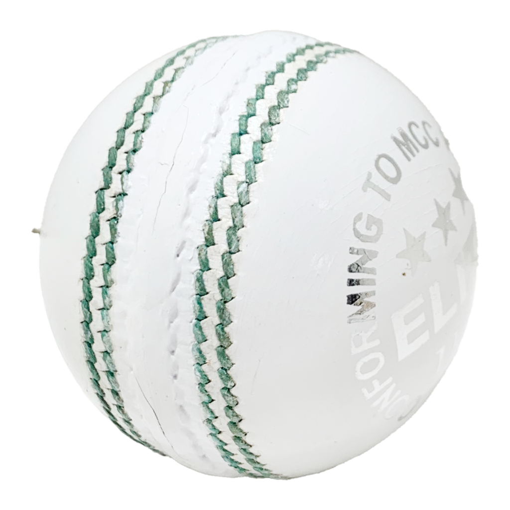 Cricket Balls – Champ Sports SA