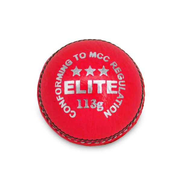 Cricket Balls | Champ Sports SA