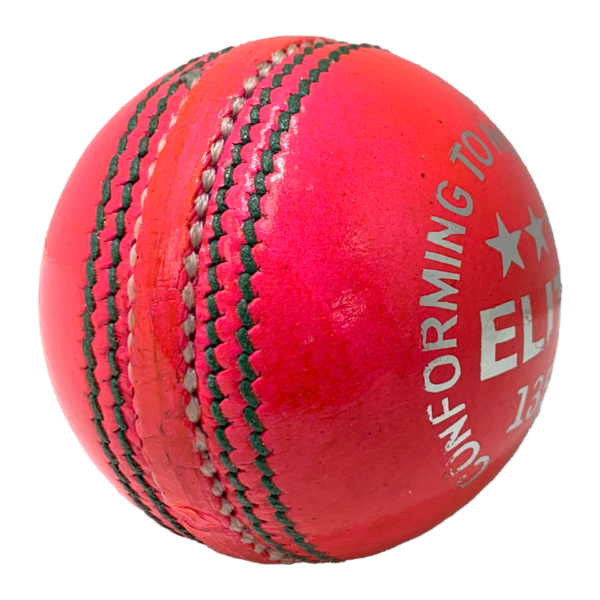 Cricket Balls | Champ Sports SA