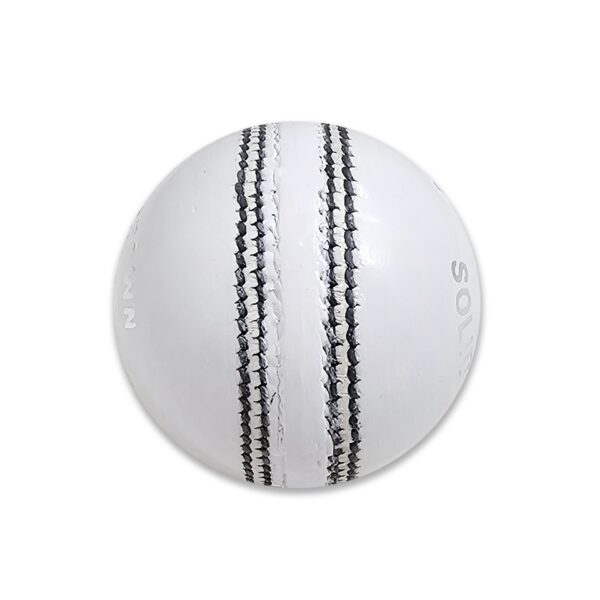 Cricket Balls | Champ Sports SA